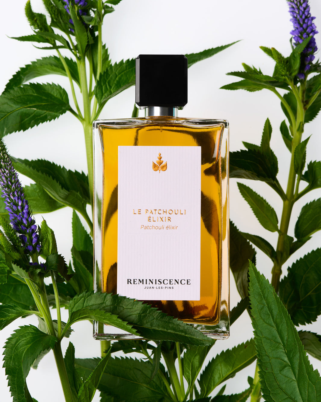 Le Patchouli Elixir - Parfum patchouli intense – Reminiscence